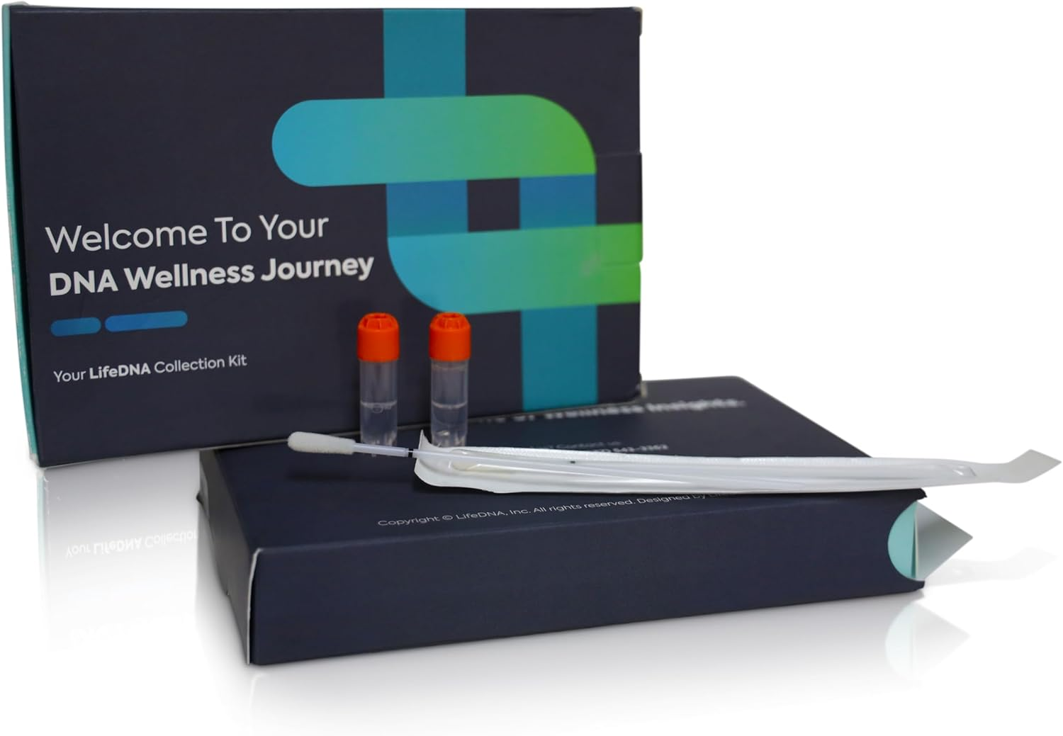 Genetic Methylation Test For Women - Vital Women Wellness